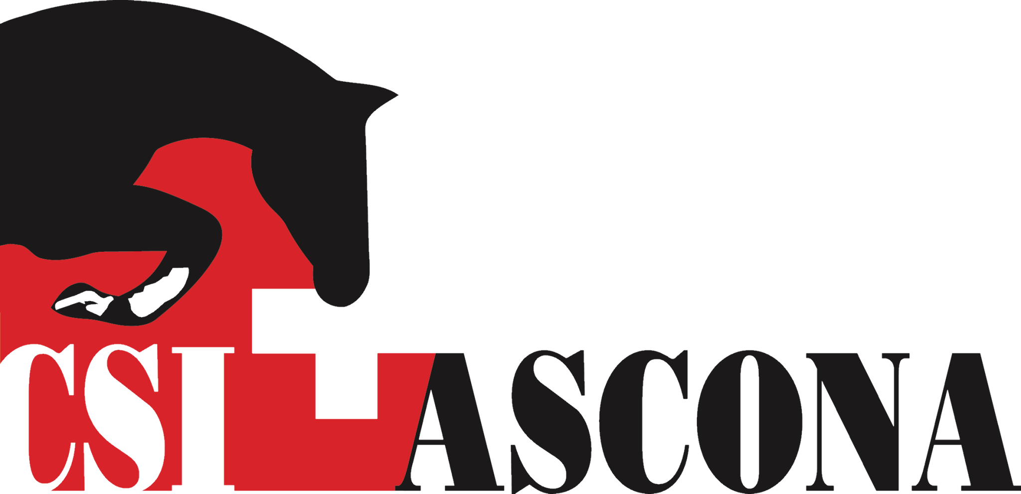 Program – CSI Ascona